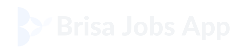 Hiring Engine - Brisa Jobs | RPO Solutions